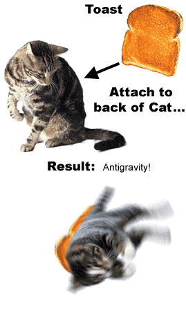 The buttered cat paradox.