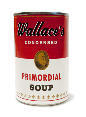 Wallace’s Condensed Primordial Soup – no artificial life, no MSG added ...