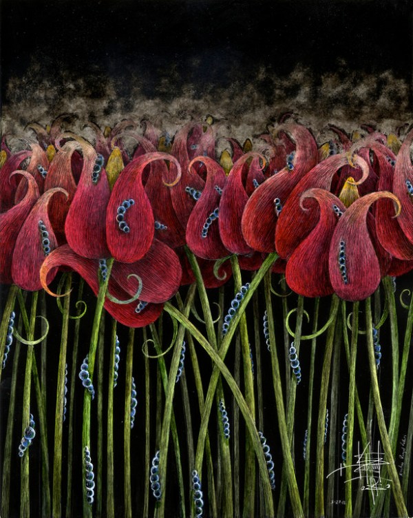 Beautiful biodiversity art by Kristian Rangel