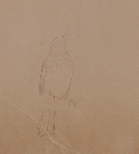 Something in the Air: Animated gifs detailing the process of drawing ...