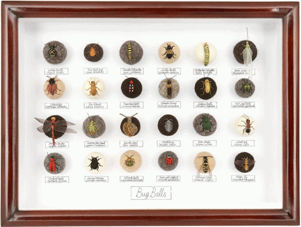 entomology