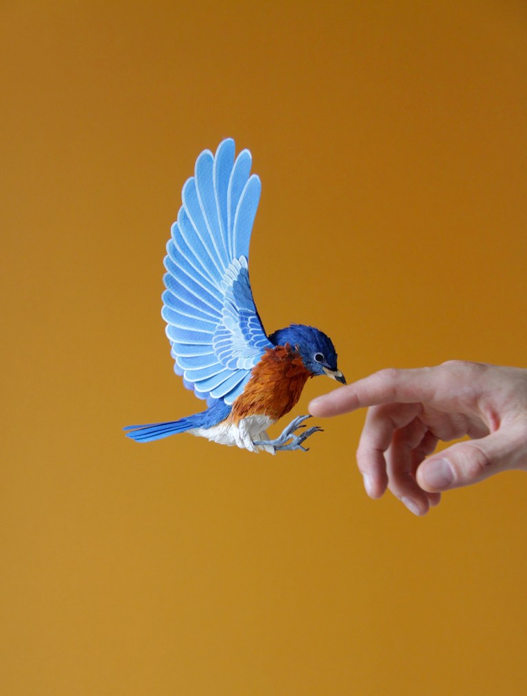 ornithology